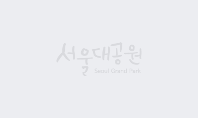 Seoul Grand Park